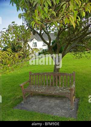Bench, Village Green, Week St Mary, Cornwall Stock Photo - Alamy