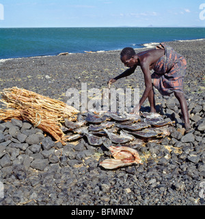 Kenya, Lake Turkana. A Nile perch comes to the surface near to the boat ...