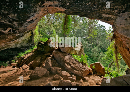 The entrance to Kitum Cave on the slopes of Mount Elgon, Kenya s second ...