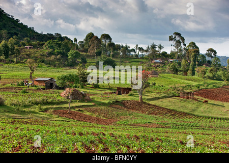 Kenya, Rift Valley Province, Keiyo Escarpment. The Torok River cascades ...