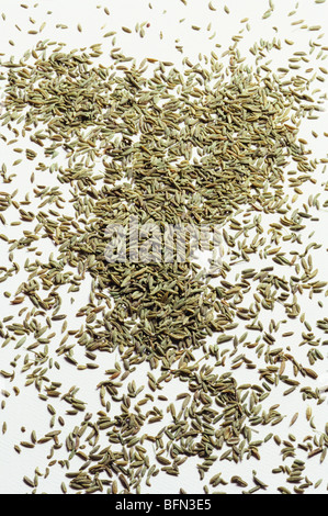 Indian Spices Saunf Fennel Seeds Foeniculum Vulgare Stock Photo - Alamy