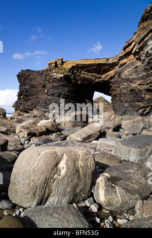 Coastal Geology at Crackington Haven, Cornwall, UK, showing quartz ...