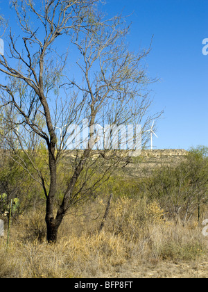 McCamey, Texas - USA. Wind turbines near McCamey, Texas. The area is ...