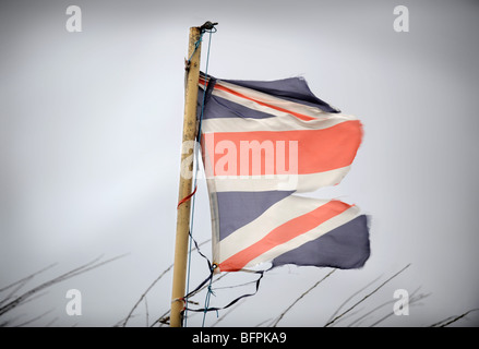 A British flag torn in a gale UK Stock Photo - Alamy