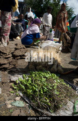 Khat for sale in a market in Ethiopia Stock Photo - Alamy