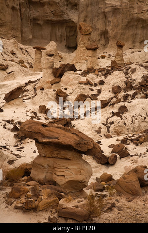 Geological formations of hoodoos in the Rimrock Hoodoo basin on public ...