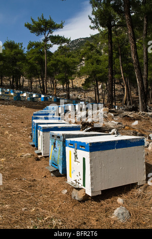 dh Cretan mountains FARMING GREECE CRETE Irregation supply water tank ...