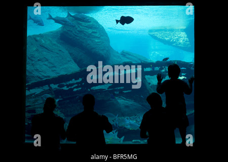 uShaka Marine World, Durban, South Africa Stock Photo - Alamy