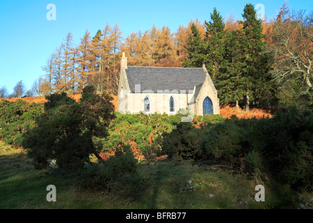 Forest of Birse Kirk, near Ballochan, Aberdeenshire, Scotland, United ...