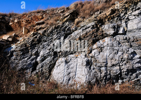 Limestone outcrop, Oklahoma, USA Stock Photo - Alamy