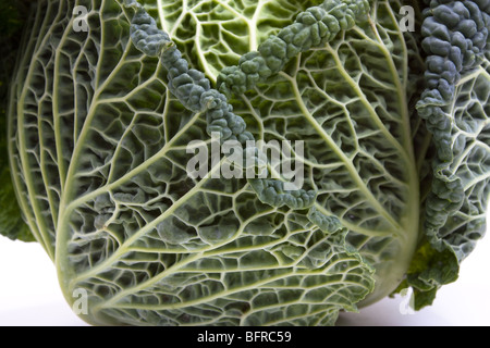 cabbages vegetable texture background / colorful ornamental cabbage ...