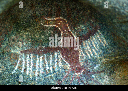 Aruba, Arikok National Park Arawak Drawings at Fontein Cave Stock Photo ...