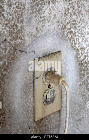 Electrical Outlet in Moldy Wall Stock Photo - Alamy