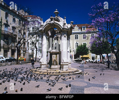 LARGO DO CARMO SQUARE WITH PIGEONS LISBON PORTUGAL Stock Photo - Alamy