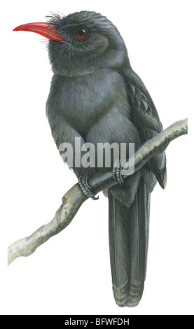 illustration of nun Stock Photo - Alamy
