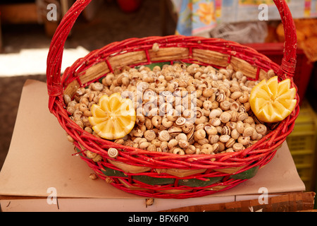 Live edible snails, Palermo food market, Sicily Stock Photo - Alamy