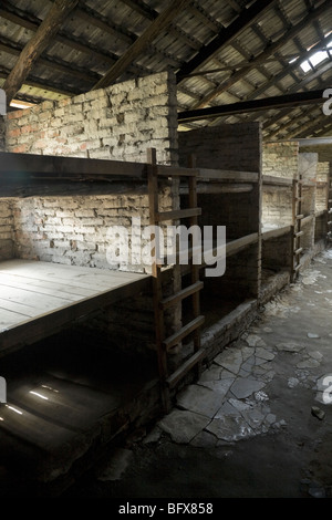 Bunk Beds Inside Auschwitz Hut Birkenau Stock Photo - Alamy
