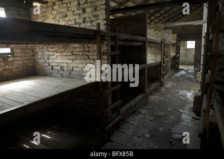 Bunks for prisoners inside a hut (number 3)/ shed of the Birkenau ...