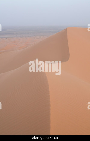 Sand shifting in the Sahara desert. The Sahara is a desert spanning ...