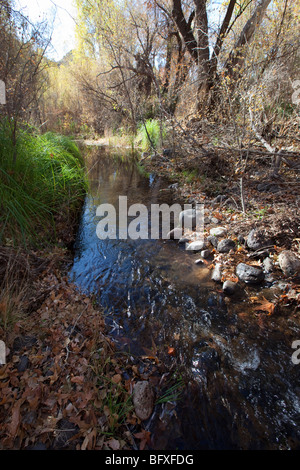 Perennial Stream, Muleshoe Ranch Nature Preserve, Arizona Stock Photo ...