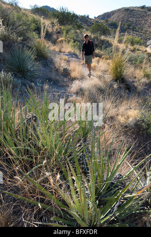 Hiking on the Vista Trail, Muleshoe Ranch, Arizona Stock Photo - Alamy