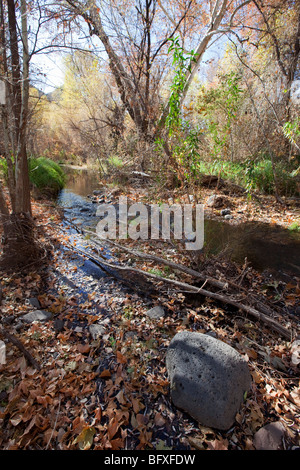 Perennial Stream, Muleshoe Ranch Nature Preserve, Arizona Stock Photo ...