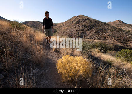 Hiking on the Vista Trail, Muleshoe Ranch, Arizona Stock Photo - Alamy