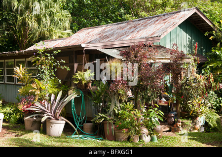 Old Hawaiian style house, Kualoa, Oahu, Hawaii Stock Photo - Alamy