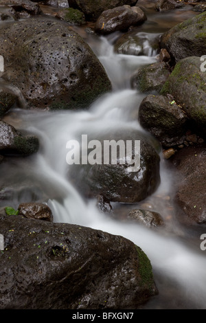 Water flow in a stream, long exposure Stock Photo - Alamy