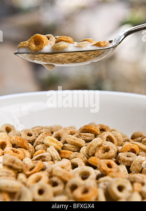 Bowl of Whole Grain Cheerios Cereal isolated on white background, top ...
