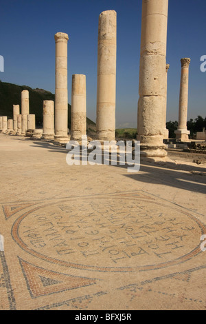 Israel, Beth Shean Valley, a mosaic depicting a menorah from the ...