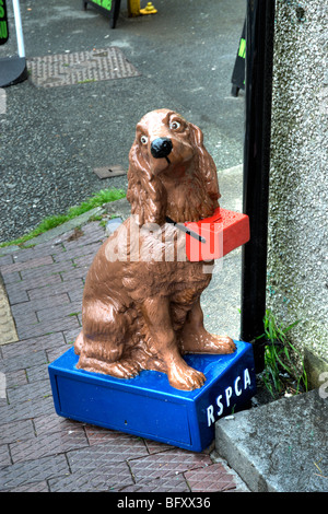 RSPCA Charity Collection Box Stock Photo - Alamy