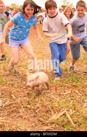 Greased Pig Contest, Churchville, Virginia Stock Photo - Alamy