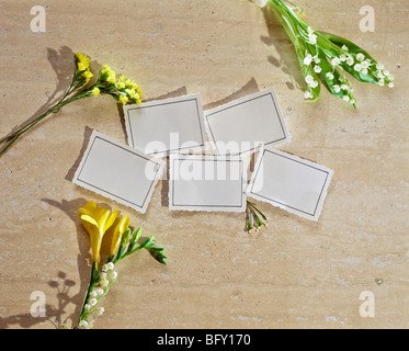 Personal brand symbol. Concept words Personal brand on beautiful big ...