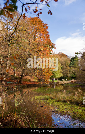 UK,South Yorkshire,Sheffield,Porter Valley,Forge Dam Stock Photo - Alamy