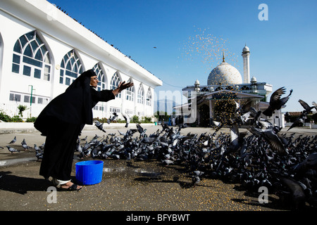 Muslim woman feeding thousands of pigeons in front of Hazradbal Mosque ...