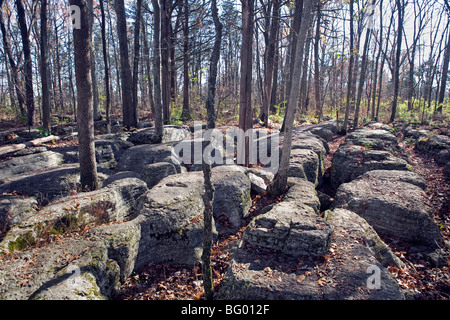 American Civil War: The slaughter pen at Gettysburg, dead soldiers in ...