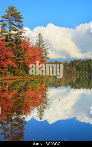 Quiver Pond, Mountain Lodge, Adirondacks, New York Stock Photo - Alamy