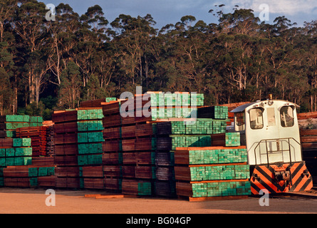 Sawn karri timber, Western Australia Stock Photo - Alamy