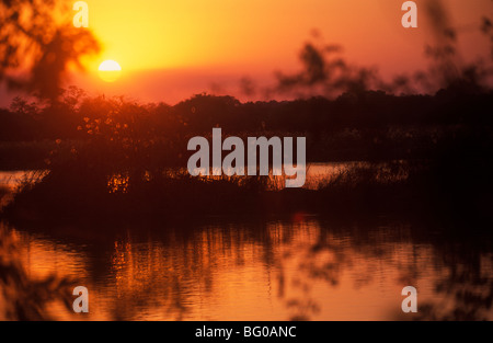 sunset over the savannah, Botswana, Chobe National Park Stock Photo - Alamy