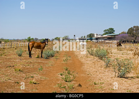 Ascot racecourse in Bulawayo, Zimbabwe. The famous course built in the ...