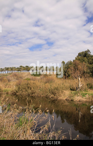 river jordan israel Stock Photo - Alamy