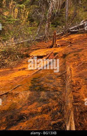 The incredible ochre colours in the soil in the Paint pots in Yoho ...