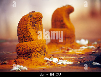 Idols of snake-gods in a traditional sacred grove in Kerala, India ...