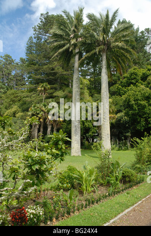 The garden of the Mansion House, Kawau Island, New Zealand Stock Photo ...