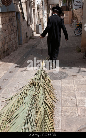 orthodox jew carrying palm leaves for the building of the booth during ...