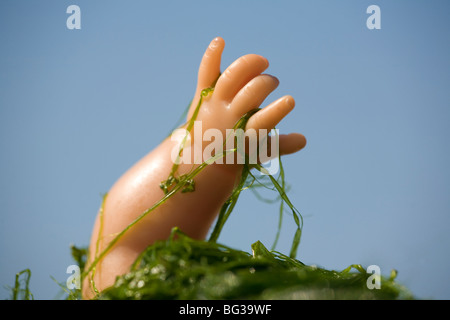 Portrait of a Doll's arm breaking through seaweed Stock Photo - Alamy