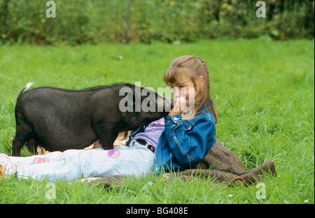 girl - playing with a Miniature pig Stock Photo - Alamy