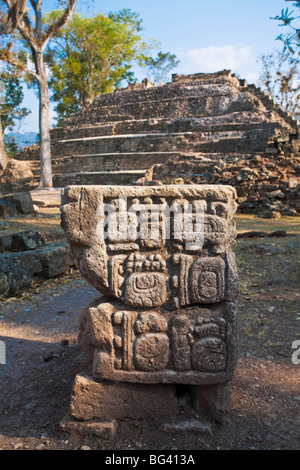 The Copan ruins archeological site, Honduras Stock Photo - Alamy