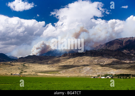 Forest fire, Cody, Wyoming Stock Photo - Alamy